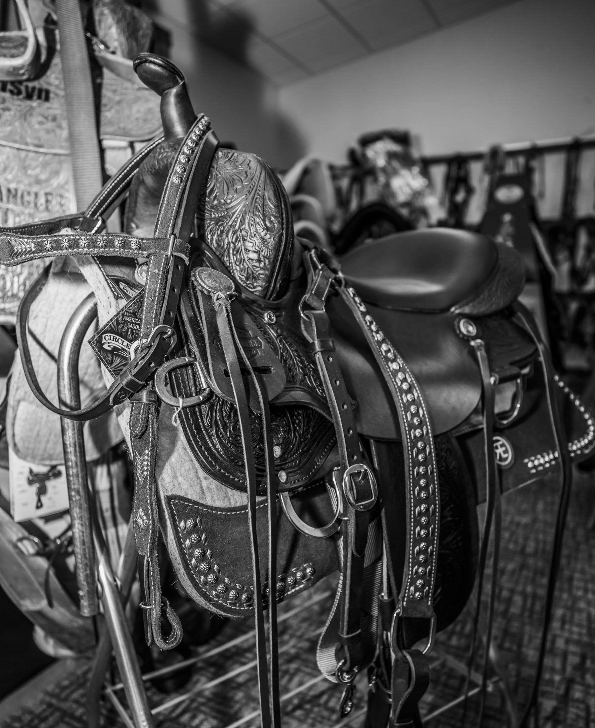 Tack – Lowry's Western Shop